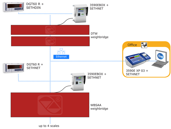 SCALE NETWORK :: ching hwa